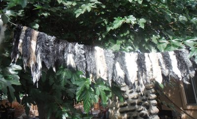 An Easy Guide to Tanning Rabbit Hides - Countryside